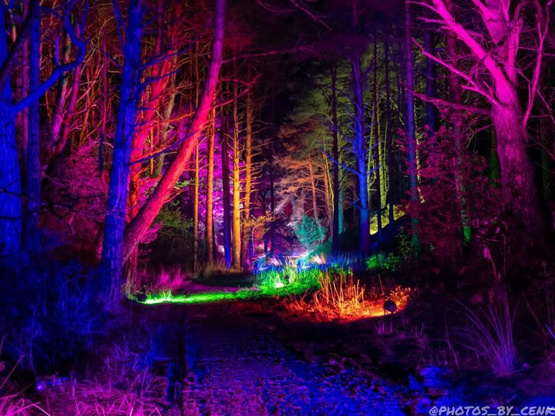 ILLUMINATE at The Blue Pool Gallery - The Blue Pool Wareham