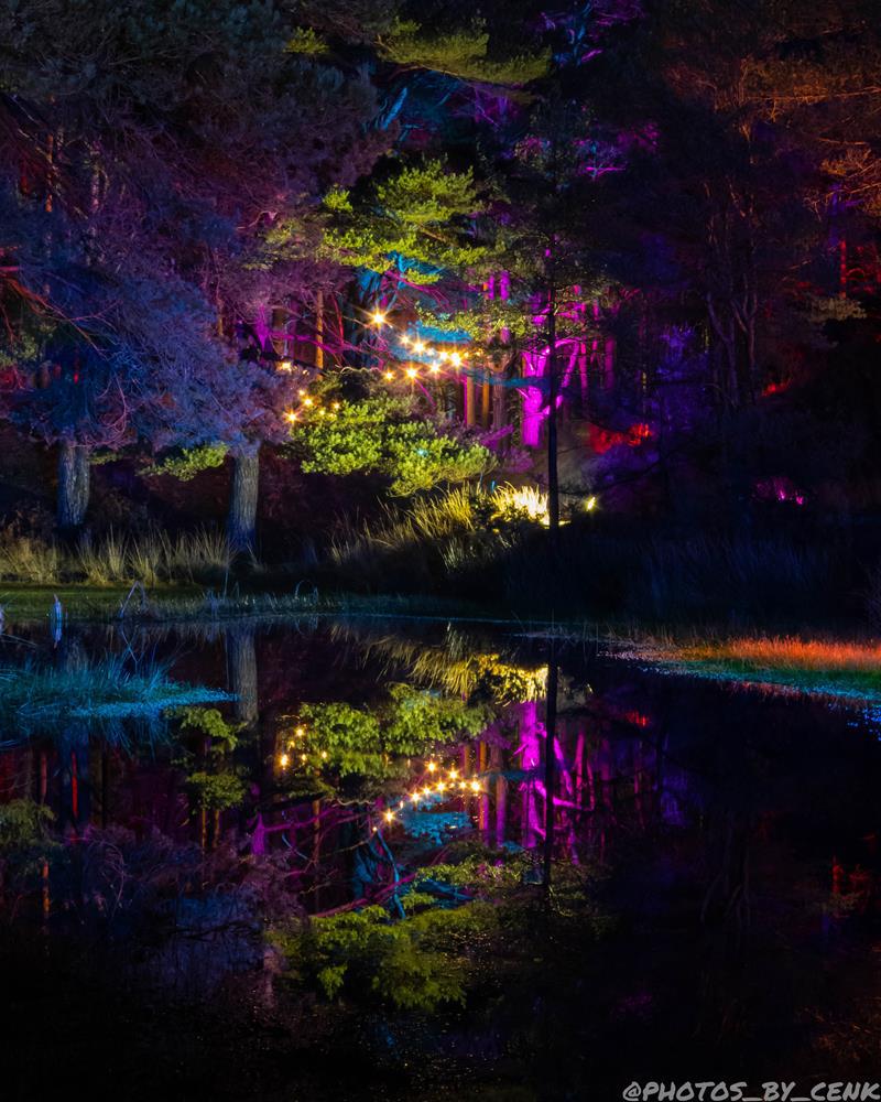 Dorset’s Blue Pool to light up winter once again in 2023