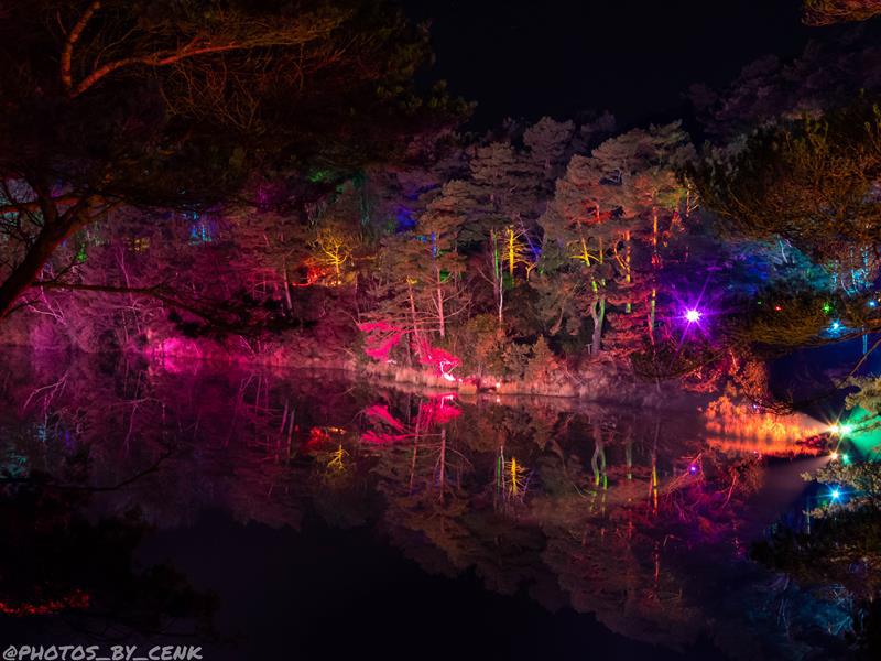 ILLUMINATE at The Blue Pool Gallery - The Blue Pool Wareham