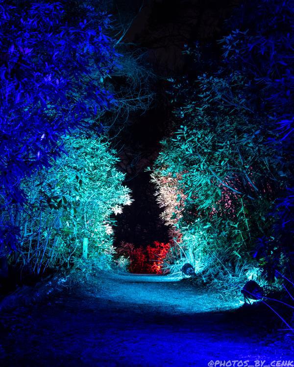 ILLUMINATE at The Blue Pool Gallery - The Blue Pool Wareham