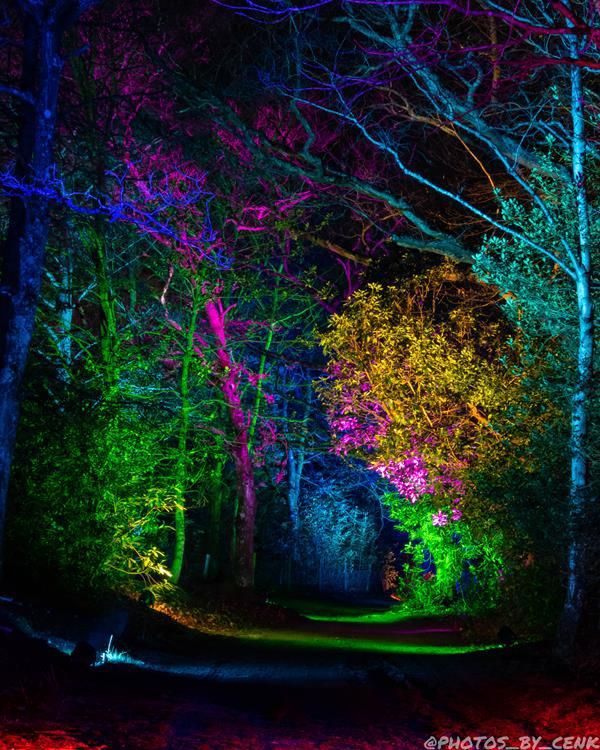 ILLUMINATE at The Blue Pool Gallery - The Blue Pool Wareham