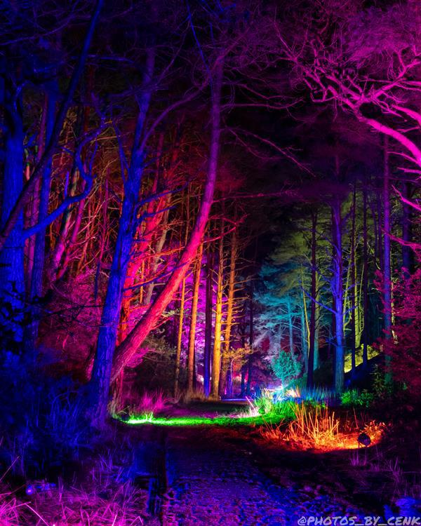 ILLUMINATE at The Blue Pool Gallery - The Blue Pool Wareham