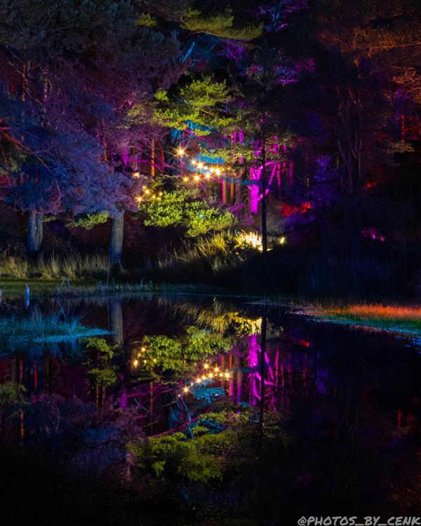 ILLUMINATE at The Blue Pool Gallery - The Blue Pool Wareham