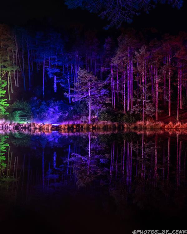 ILLUMINATE at The Blue Pool Gallery - The Blue Pool Wareham